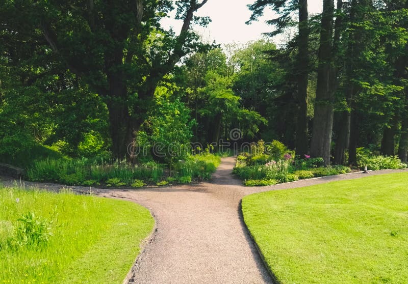Path in the Park at Aberglasney Gardens Stock Photo - Image of growth ...