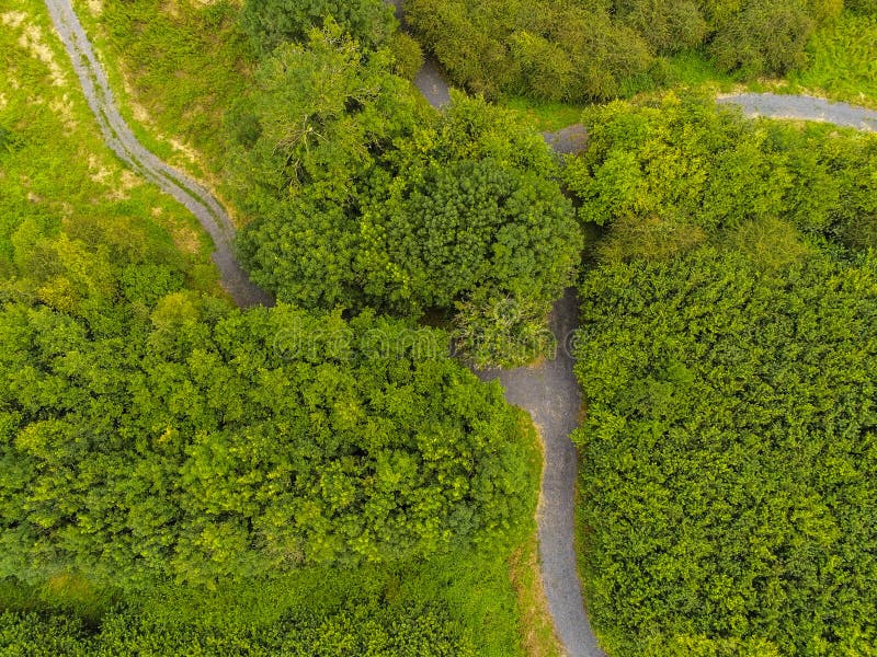 Path in a Park, Aerial Top View, Green Trees and Empty Road Stock Image ...