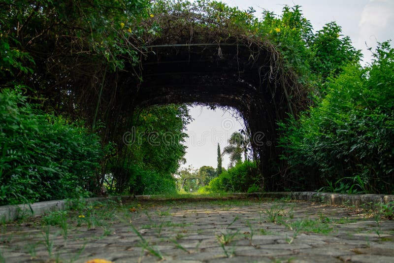 A Path in a Park with an Alley Decorated with Greenery Stock Image ...