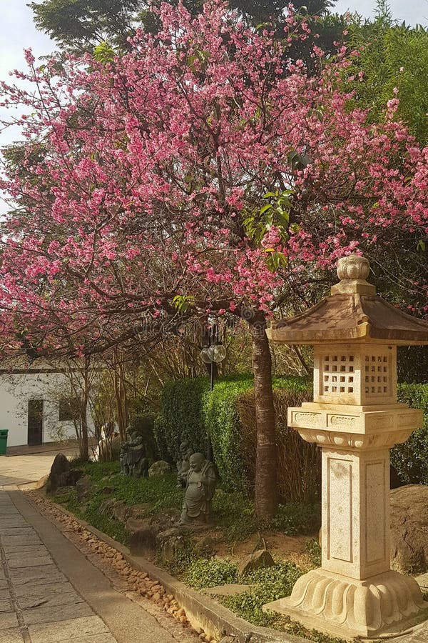 Path in a Park with an Ancient Oriental Lamp and Pink Flowers and a ...