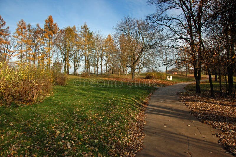 Path in the park stock image. Image of goose, park, bright - 38732807 Path in the park stock image. Image of goose, park, bright - 38732807