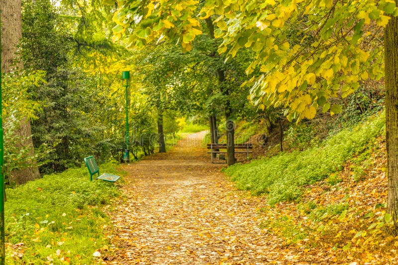 Path in garden stock photo. Image of fall, garden, path - 81427892