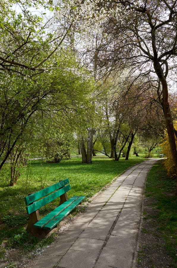 Path in a Park with a Bench and Trees Stock Image - Image of sunlight ...