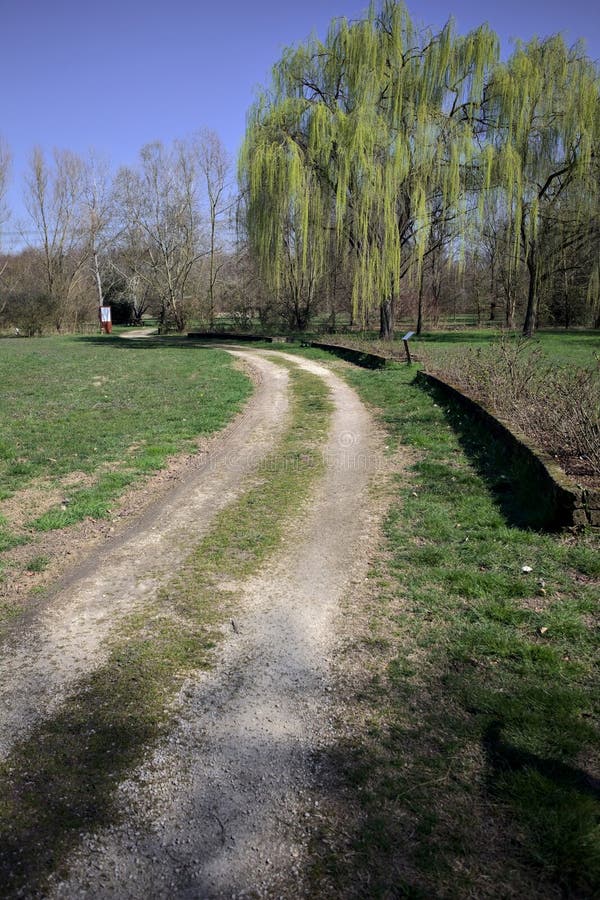 Path in a Park with People Passing by on a Misty Day in Autumn Stock ...