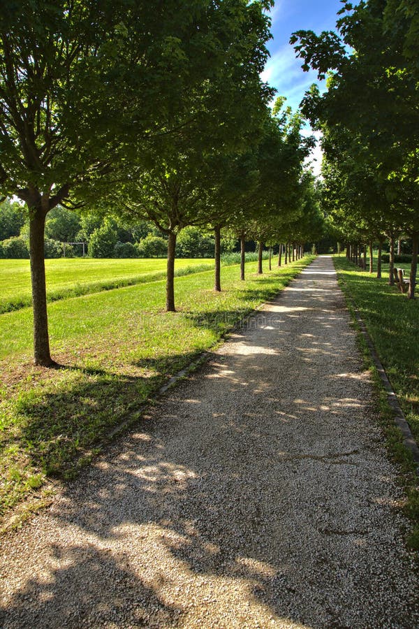 Path in a Park Bordered by Trees with the Shade Casted by Them Stock ...