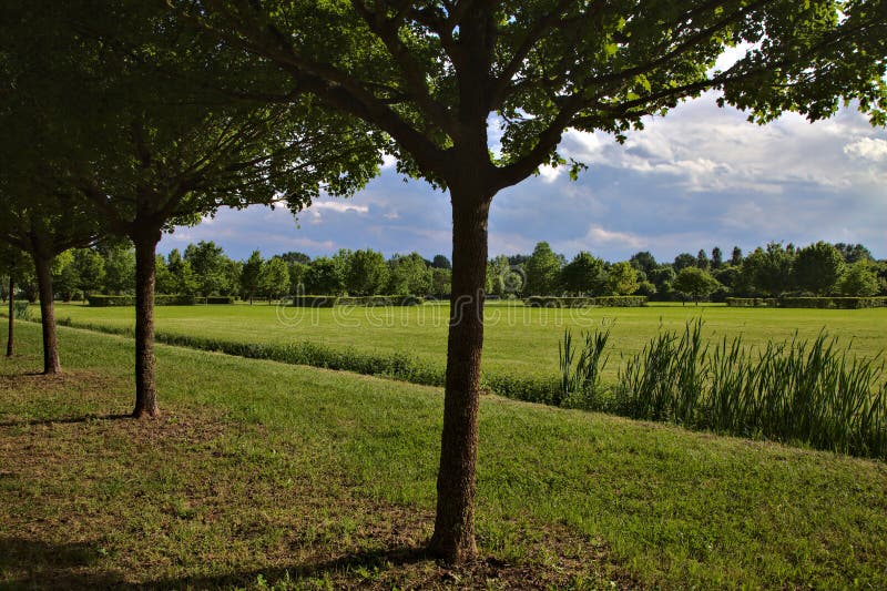 Path in a Park Bordered by Trees with the Shade Casted by Them Stock ...