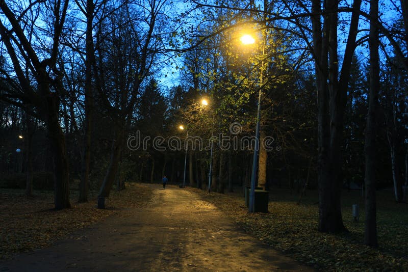 Evening walk in the park editorial image. Image of beautiful - 105879300