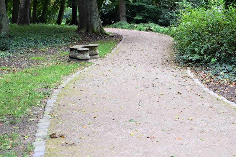Path in the Park with Bushes at the Side Stock Image - Image of green ...