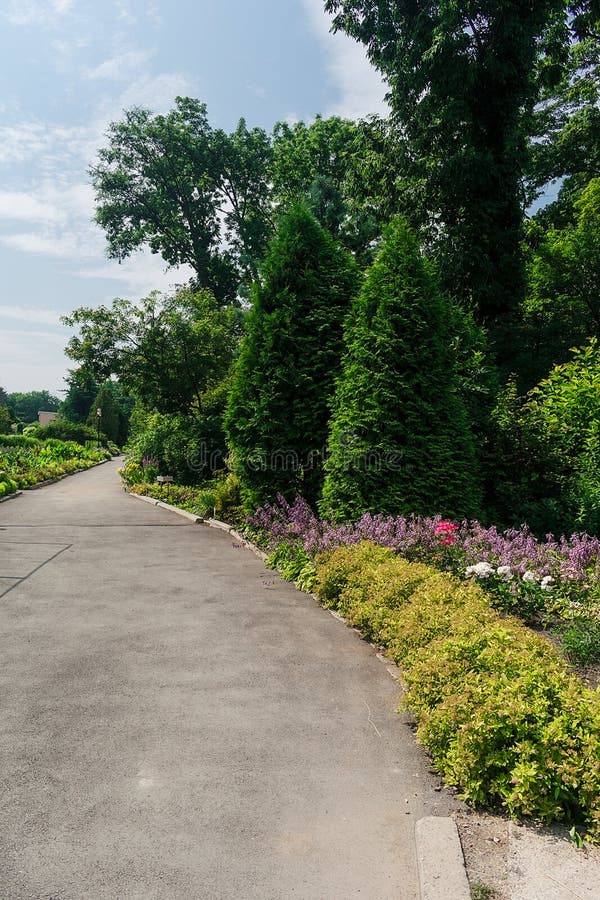 Path in the Park among Dense Vegetation. Stock Image - Image of trees ...