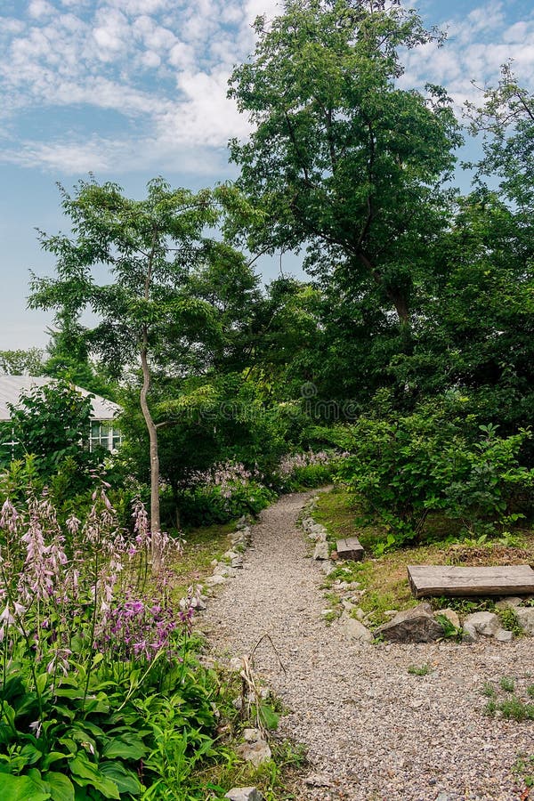 Path in the Park among Dense Vegetation. Stock Photo - Image of meadow ...