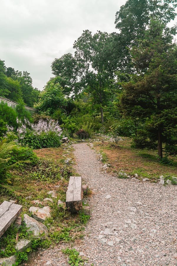 Path in the Park among Dense Vegetation. Stock Image - Image of dense ...