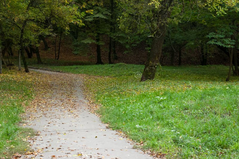 Path in the Park in Early Fall: Green Grass and Autumn Leaves Stock ...