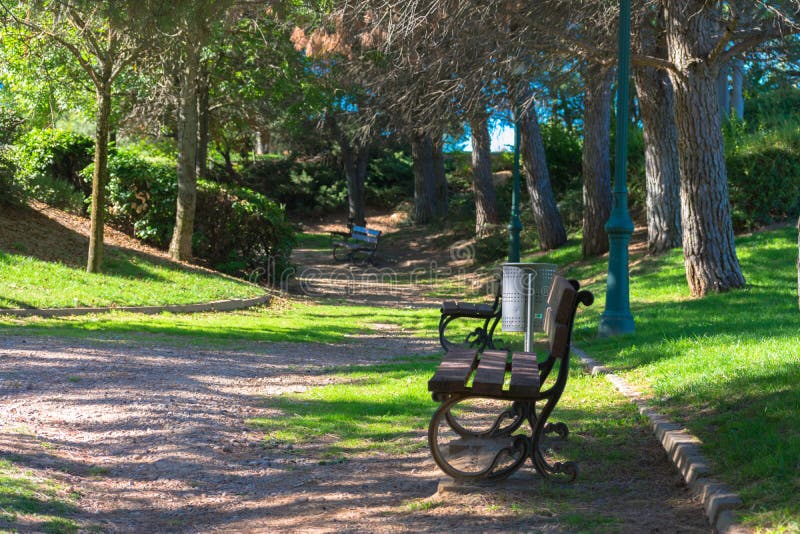 Path in the Park with Empty Benches Stock Photo - Image of seat ...