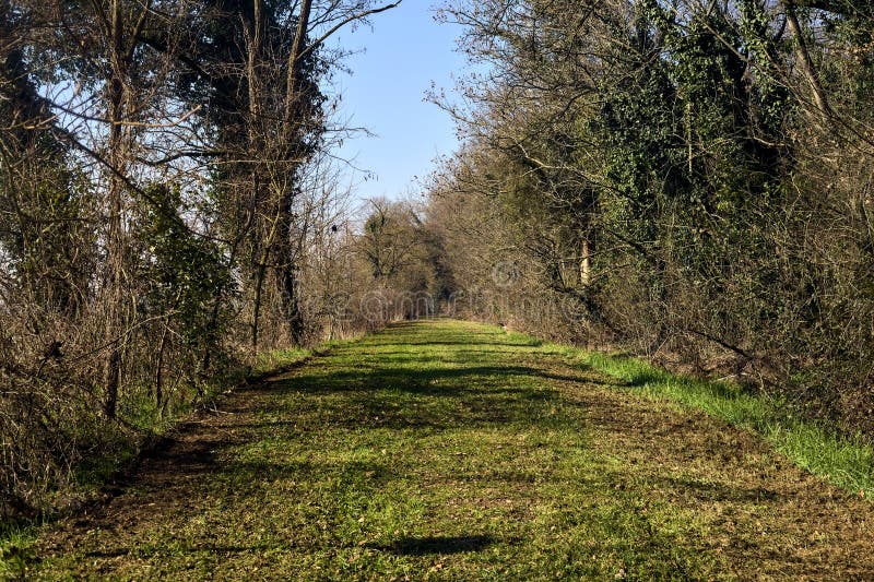 Path in a Park with a Field Visible through Trees on a Sunny Day Stock ...