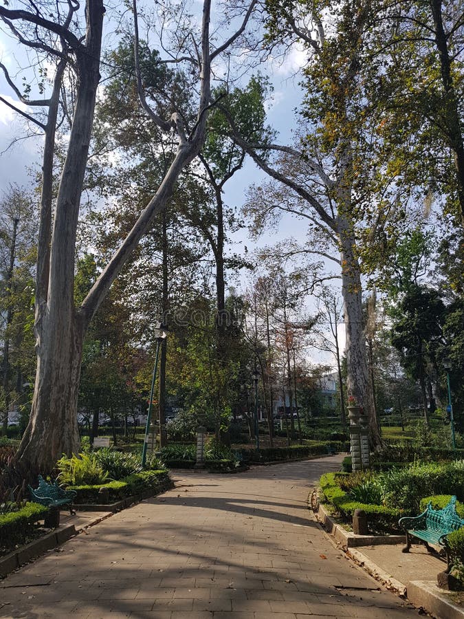 A path in the park stock photo. Image of urban, path - 213112814