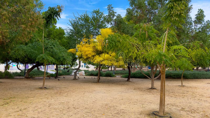 Path in the Park, Path with Green Bushes in the Park, Trees in the Path ...