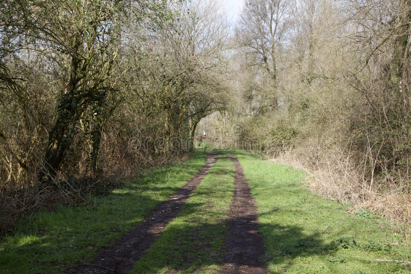 Path in a Park in the Italian Countryside at Sunset Stock Image - Image ...