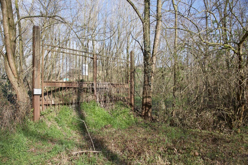 Path in a Park in the Italian Countryside at Sunset Stock Image - Image ...