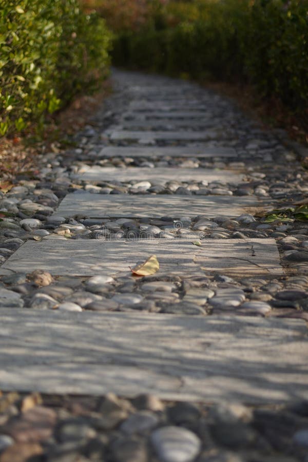 A Path in the Park Leading To the Front Left Stock Image - Image of ...