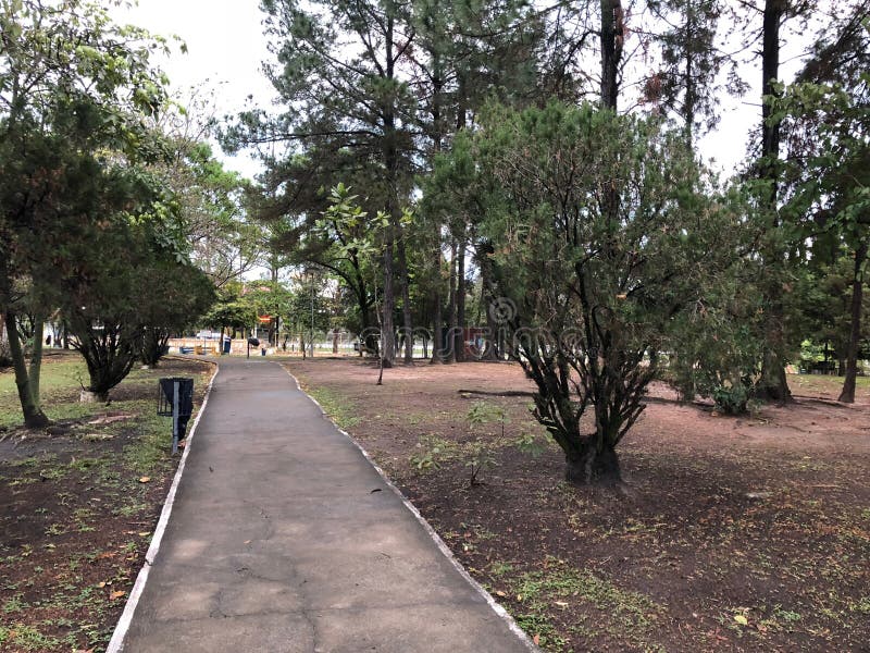 Path in the Park, Outdoor Park, Woods with Paths, Nature. Stock Photo ...