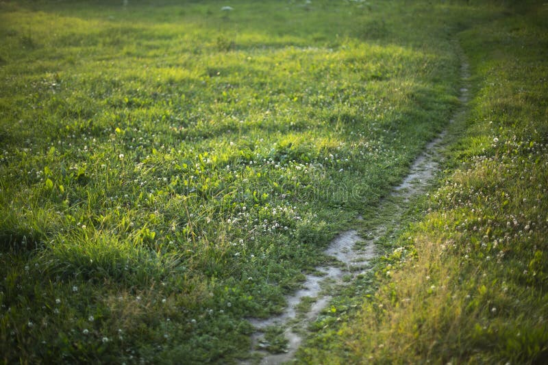 Path in Park. Path Across Field Stock Photo - Image of field, road ...