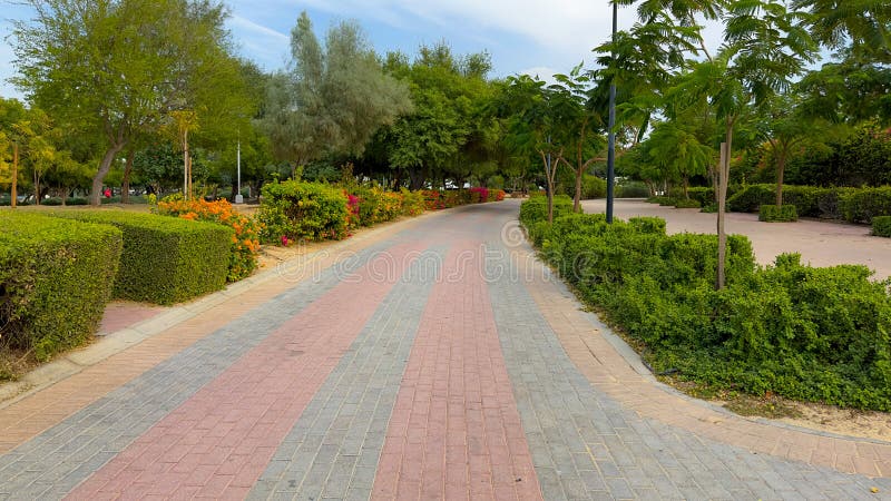 Path in the Park, Path with Green Bushes in the Park, Trees in the Path ...