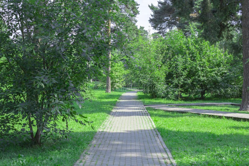 Path in the Park Paved with Stone Blocks, Green Summer Park with ...