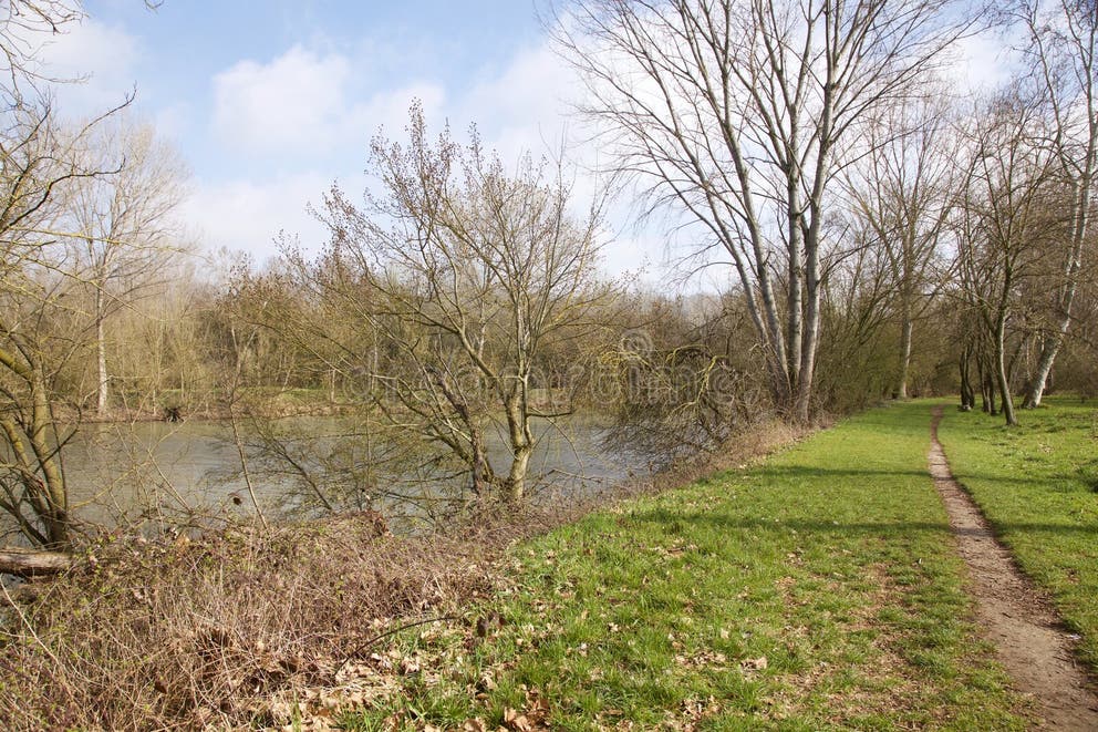 Path in a Park by the Rivershore Stock Image - Image of branch ...