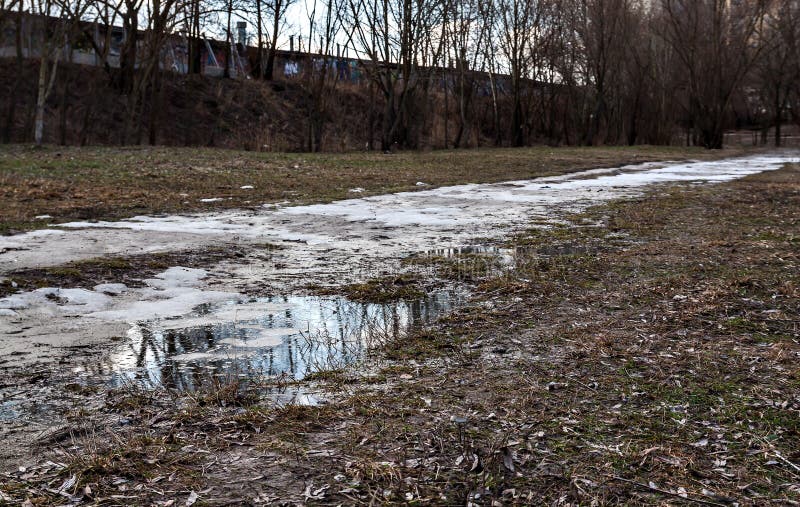 On the Path in the Park Slush, Puddle, Snow Stock Photo - Image of ...