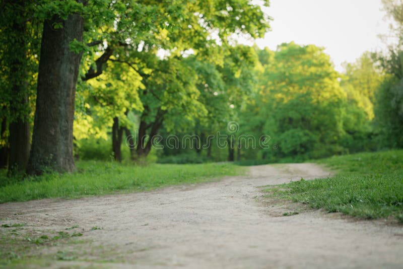 Path in Park in Summer Evening Stock Image - Image of hour, agriculture ...