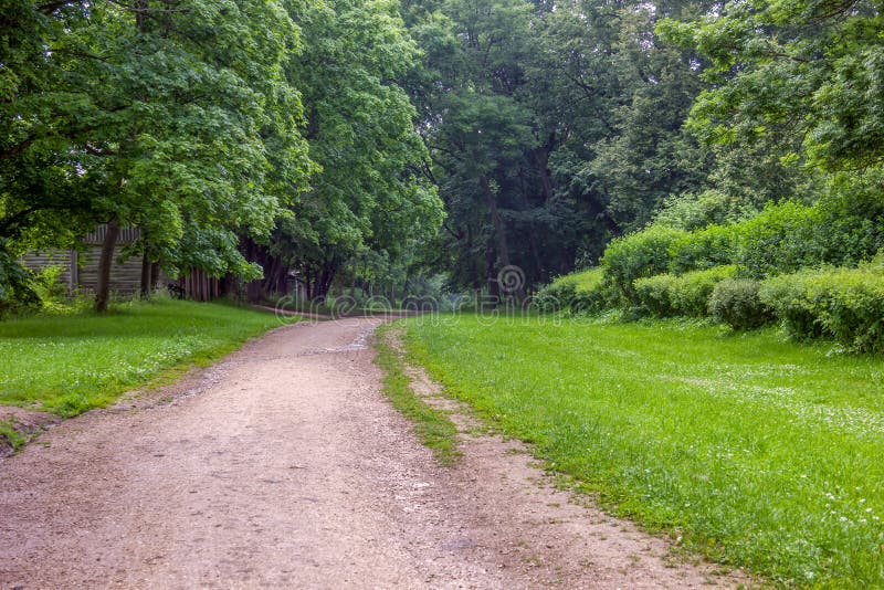 Path in the park stock image. Image of beautiful, tree - 135179293