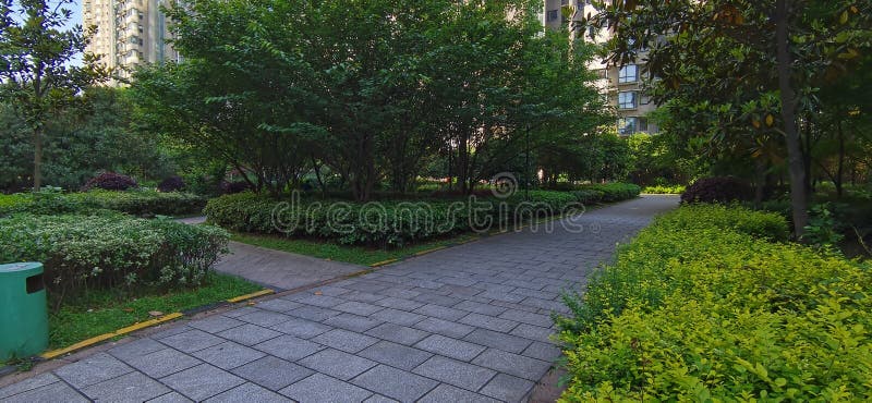 A path in the park stock photo. Image of parkn, extends - 246654226