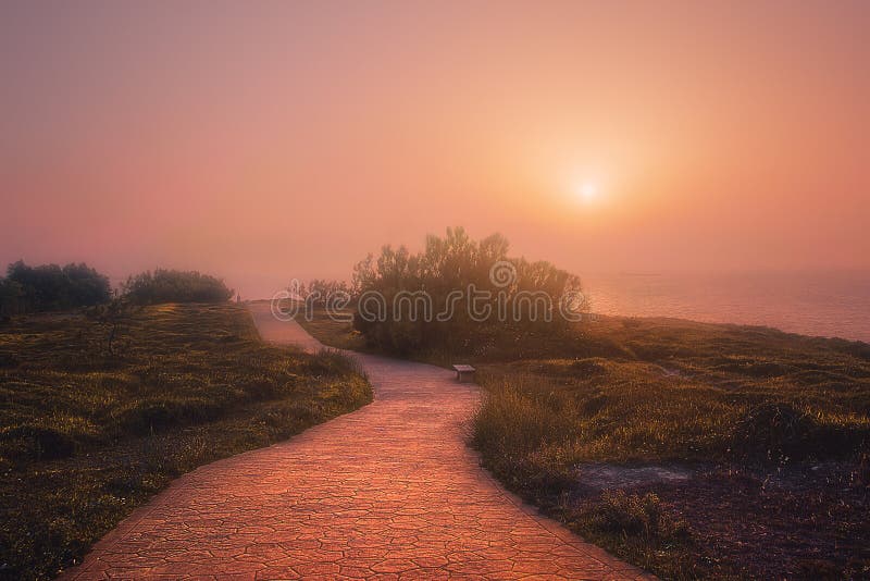 Path on Park at Sunset Near Sea Stock Photo - Image of paving, footpath ...
