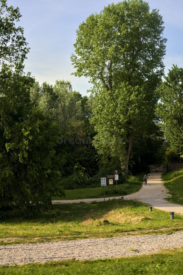 Path in a Park at Sunset Seen from Above Stock Image - Image of ...