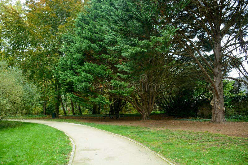 Path in the Park and trees stock image. Image of season - 188305287