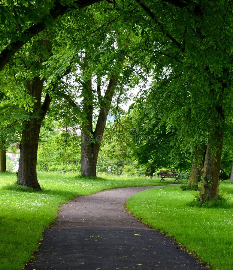 Path from park stock photo. Image of bench, route, spring - 41835524