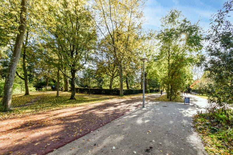 A Path in a Park with Trees on Both Sides Editorial Image - Image of ...