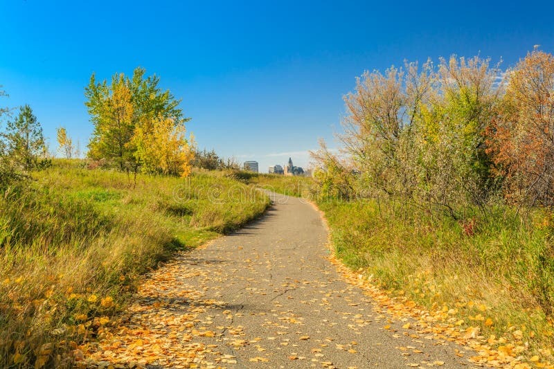 A Path in a Park with Trees and Leaves on the Ground Stock Photo ...