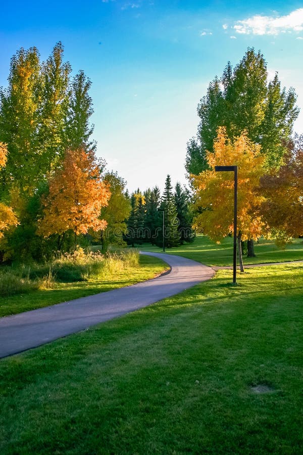 A Path in a Park with Trees and a Light Post Stock Image - Image of ...