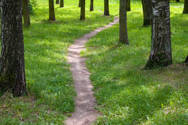 A Path in the Park among the Trees, a Narrow Path in the Summer Forest ...