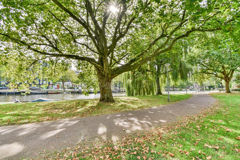 A Path through a Park with Trees and a River Editorial Image - Image of ...