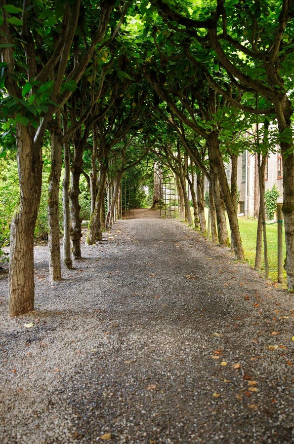 Path in the park stock photo. Image of scandinavian - 114543322