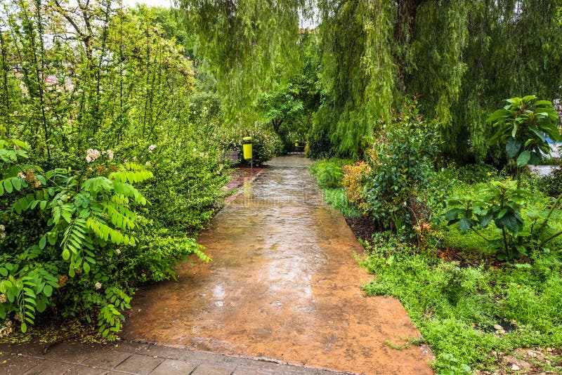 Path through a Park with Waste Bins on a Rainy Day Stock Photo - Image ...