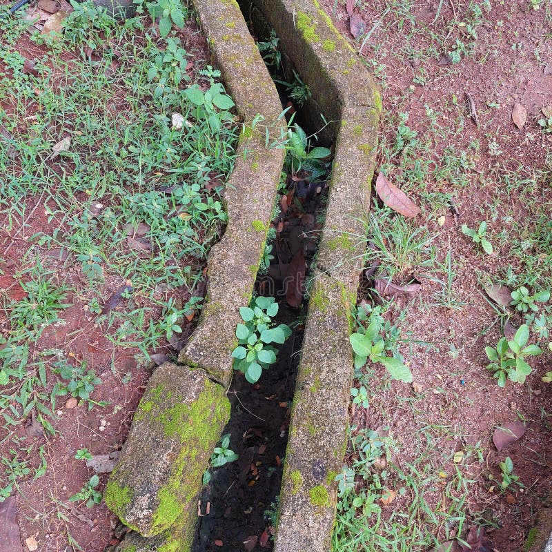 Path in the Park for Water Flow Stock Photo - Image of autumn, garden ...