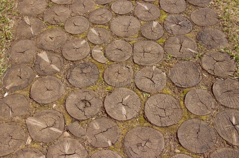 Path in the Park stock photo. Image of handmade, garden - 147487480