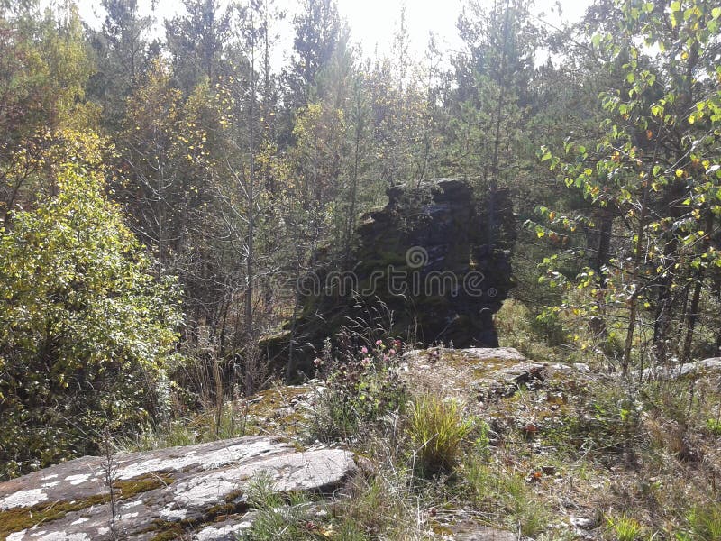 A Path that Passes through a Clearing in the Forest Stock Photo - Image ...