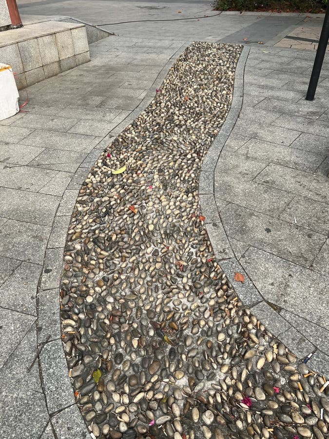 A Path Paved with Goosestones Stock Image - Image of track, design ...