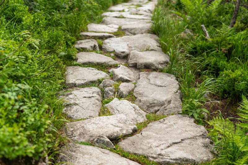 A Path is Paved with Large Stones of Different Shapes. Stock Image ...