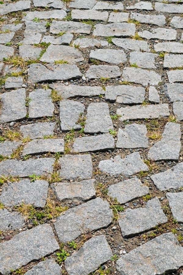 Stone Path in the Park. Brick Background Stock Photo - Image of paved ...