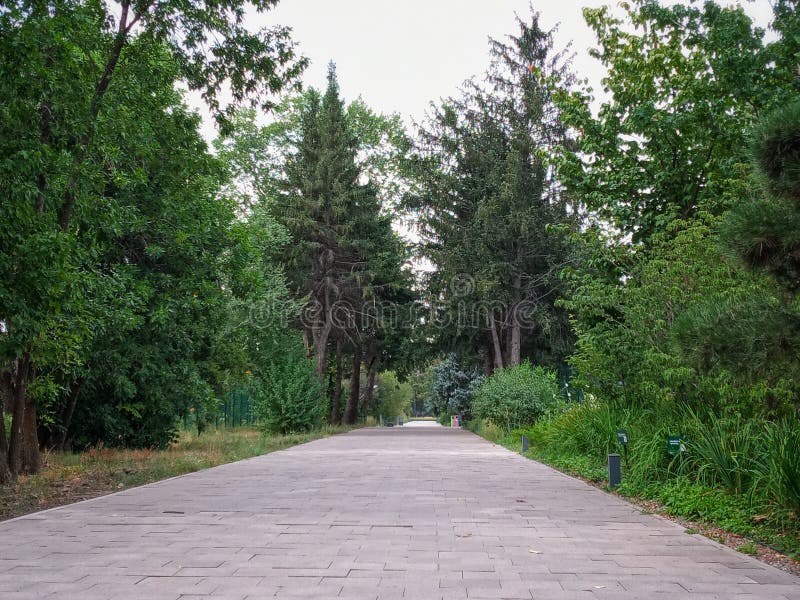 The Path, Paved with Tiles, Leads Deep into the Park, Planted with ...